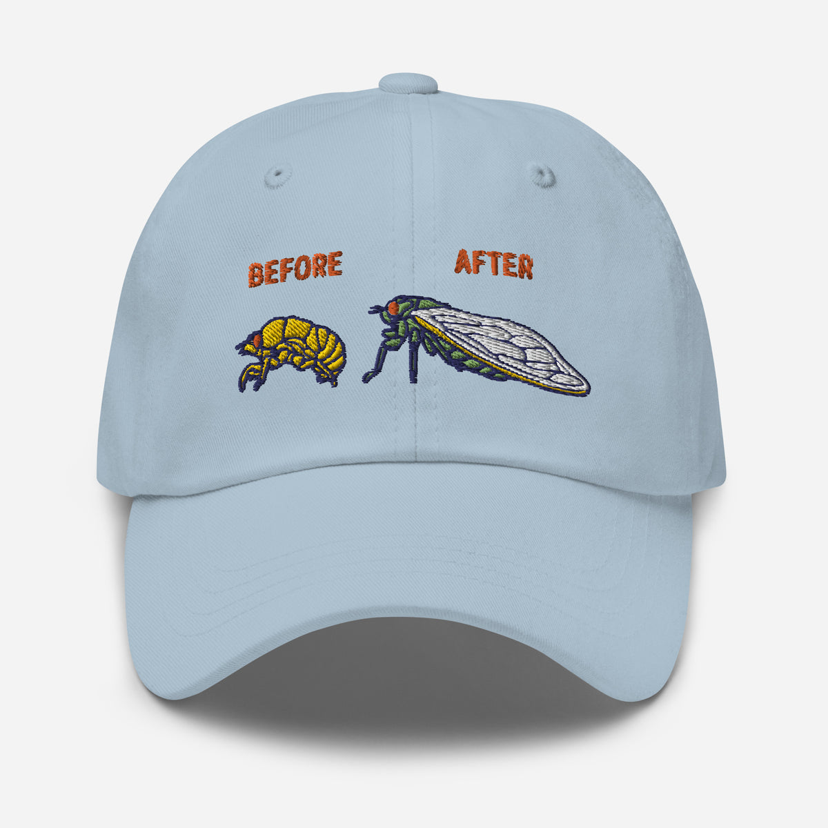 Cicada Before & After Dad Hat – Bird Bat Industries